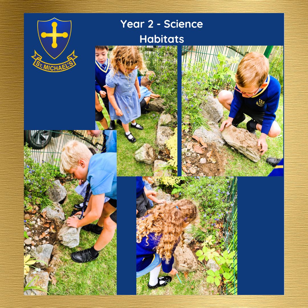 Having learnt about habitats and food chains as part of their Science ...