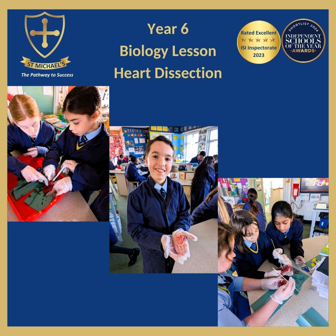 Our Year 6 pupils deepened their understanding of biology today by ...
